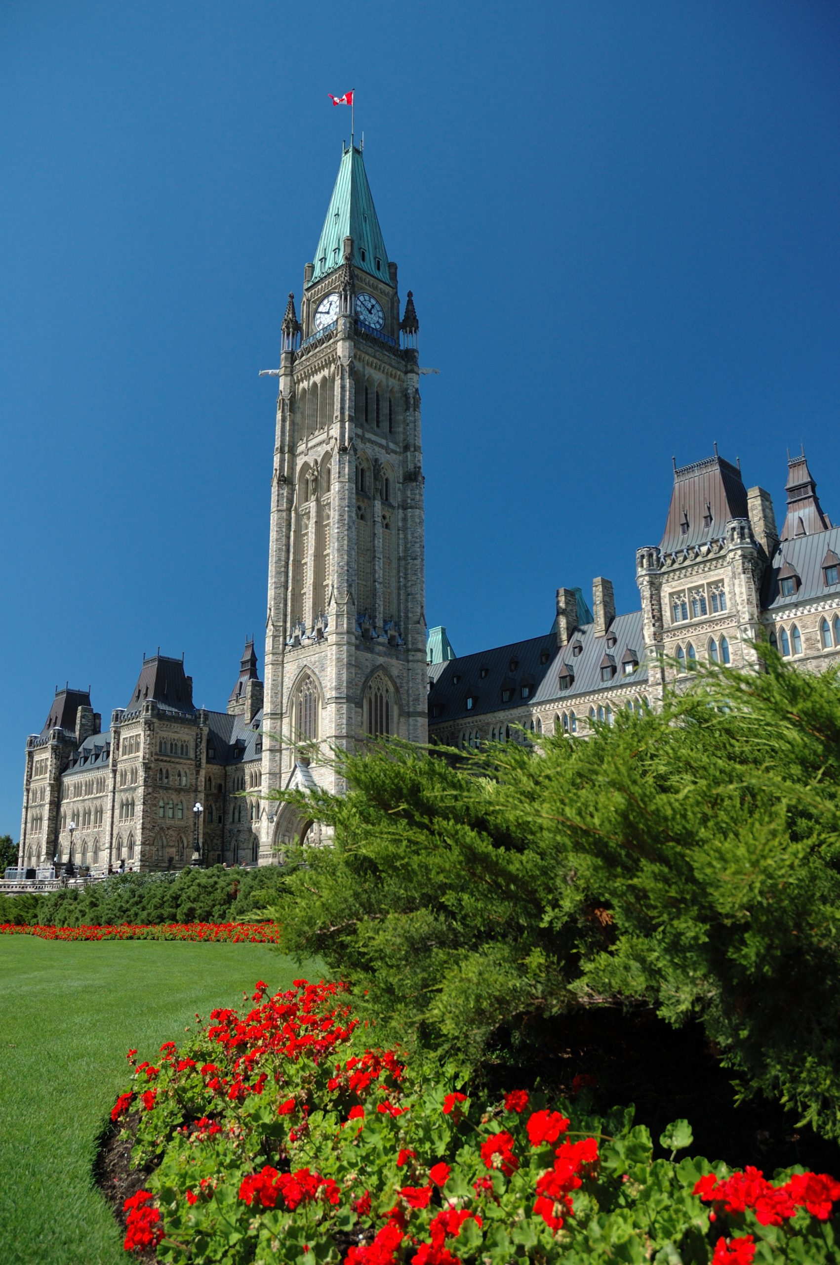 HeartLife Foundation - It's About Life, Not Failure