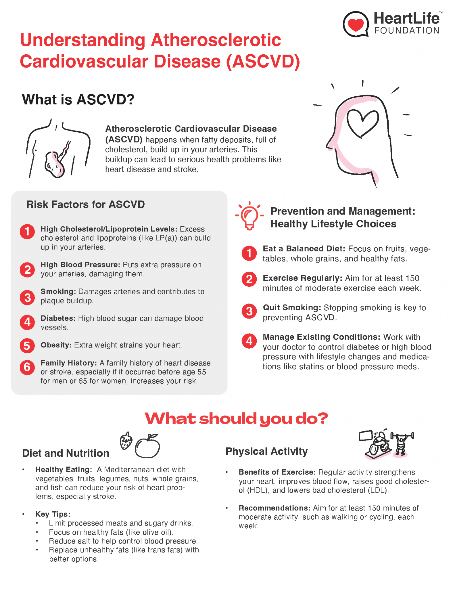 HeartLife ASCVD EN - HeartLife Foundation